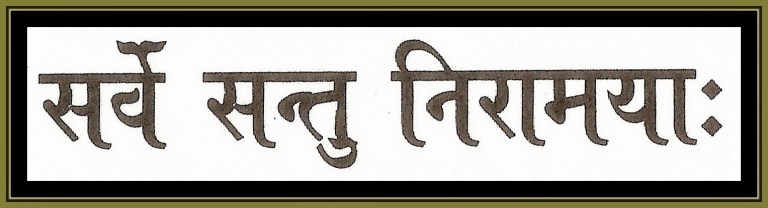 The Freedom From Sickness-Sarve Santu Niramaya – Whole Dude – Whole ...