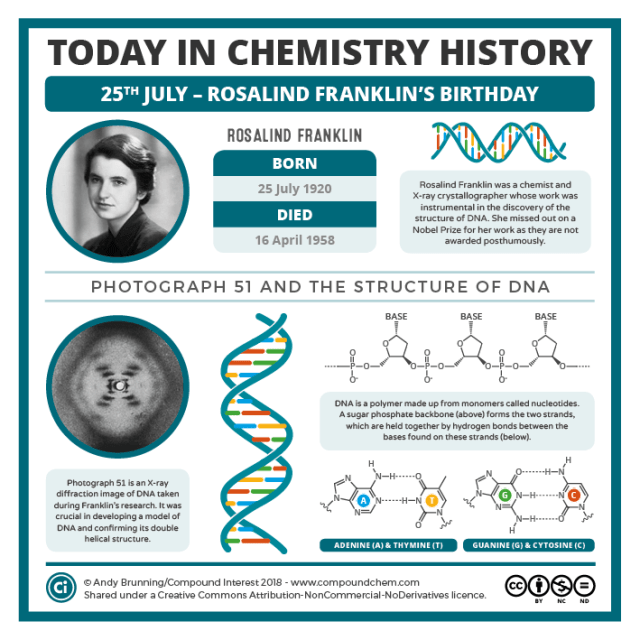 Discovery of Chemical Structure of DNA – FEBRUARY 28, 1953 – Whole Dude ...